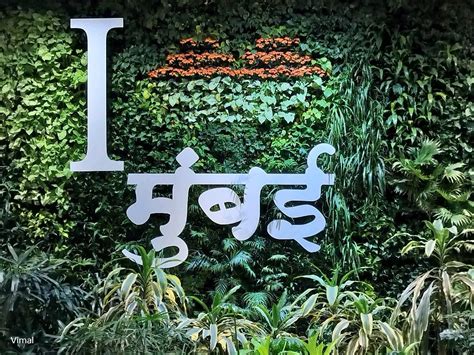 Vimal Chaubey On Linkedin Creativity Sustainability Sustainabledevelopment Greeninitiatives