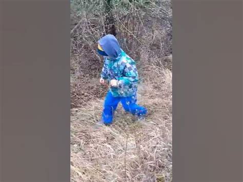 Нора лисицы #блогер #андрюша #shorts - YouTube