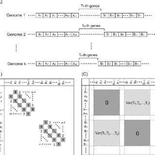 Illustration Of The Difference Between The Matrices With Measures Of Download Scientific