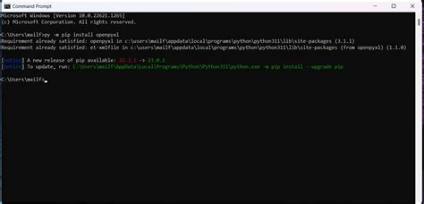 Python 在 Visual Studio Code 中导入 Openpyxl python SO中文参考 soinside