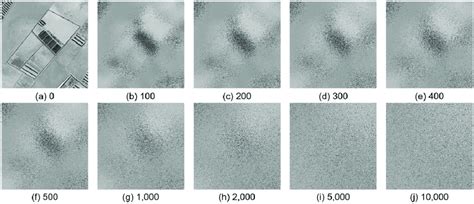 images from the experimental dataset 1 these images are the outcomes