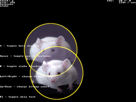 Allegro Examples Bitmap