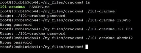 101 Crackme Unleashing The Power Of Reverse Engineering