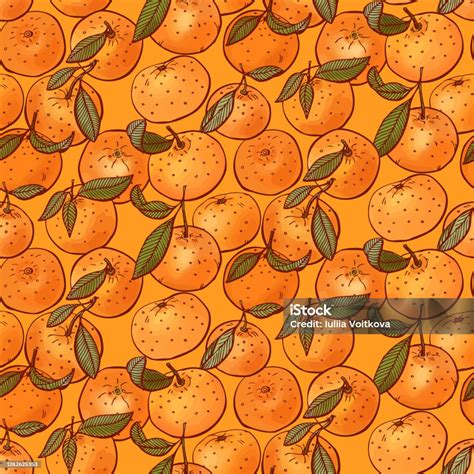 Tangerine Pattern Stock Illustration Download Image Now Backgrounds