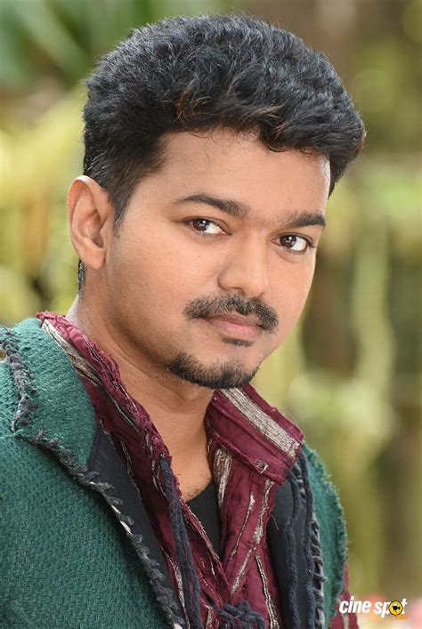 Top 999 Puli Images Amazing Collection Puli Images Full 4k