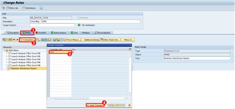 authorization and roles in sap bw cubis