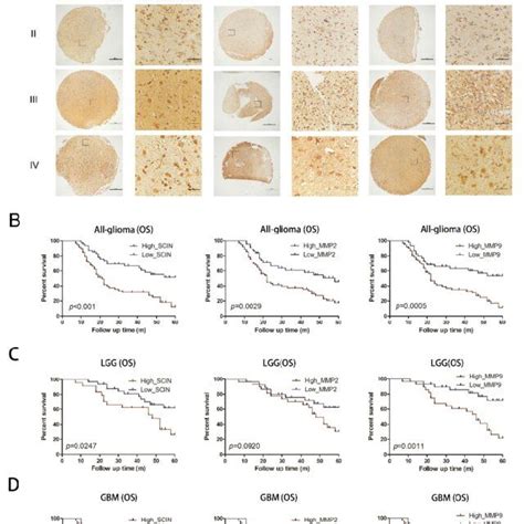 Gratten Darmody Posted On Linkedin