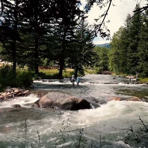 Stacey Benham On Linkedin Colorado Breastcancer Breastcancersupport