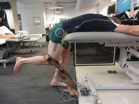 Winner Hamstrings Applied Measurement Australia S Hamstring Testing Kit