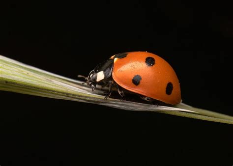 Donald Lutz On Linkedin Getting Started With Event Sourcing And Eventsourcing Backbone