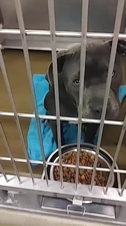 Donna M Lisi Bcps Bcgp Bcacp Bcpp Bcmtms Fascp On Linkedin To My Californian Colleagues