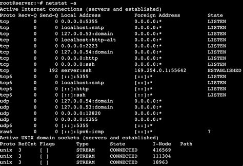 How To Use The Netstat Command In Linux