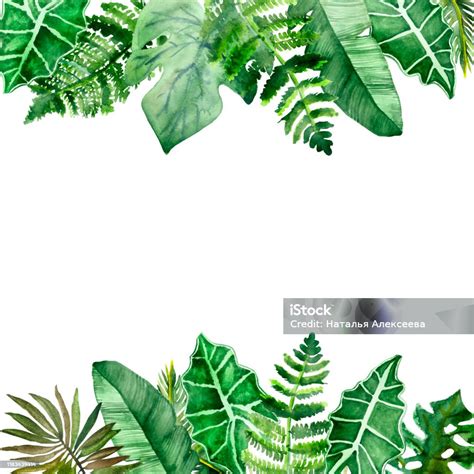수채화 손 그린 자연 정글 국경 배너 프레임 녹색 열대 다른 잎과 나뭇가지는 텍스트에 대한 공간과 초대장과 인사말 카드에 대한 흰색 배경에 수채화에 대한 스톡 벡터 아트 및
