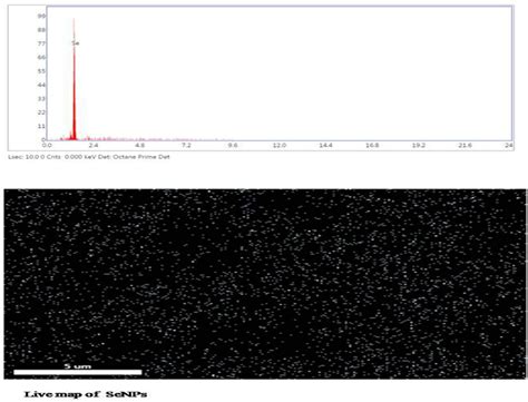 Edx Energy Dispersive X Ray Spectroscopy Analysis Download