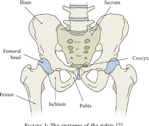 Figure 2 From Explainable Transfer Learning Based Deep Learning Model For Pelvis Fracture