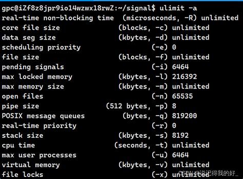Linux进程信号