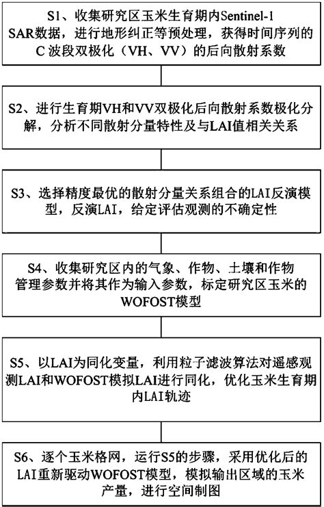Crop Yield Estimation Method Based On Dual Polarized Synthetic Aperture Radar And Crop Model