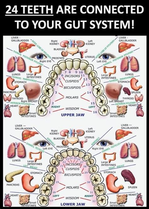 Toothpaste With Trace Minerals Artofit