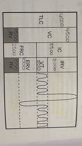 Test 8 Flashcards Quizlet Test 8 Flashcards Quizlet