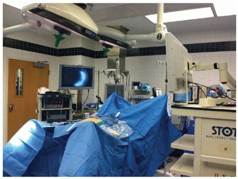 Laparoscopic Wells Rectopexy Abdominal Key