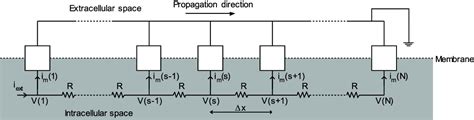 Figure 1 From Decrease In Skeletal Muscle Fiber Conduction Velocity In