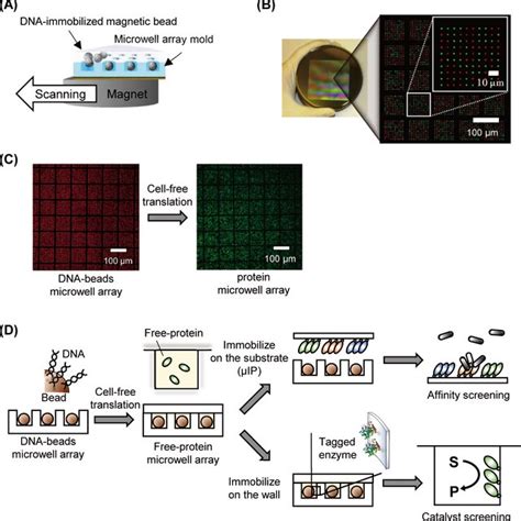schematic representation of protein microarray fabrication methods