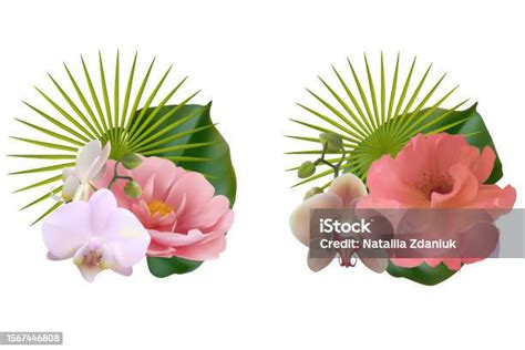 열대 꽃과 나뭇잎의 밝은 벡터 그림입니다 난초 플루 메리아 프랜지파니 종려 나무 잎 꽃다발 세트입니다 이국적인 열대 배경입니다 0명에 대한 스톡 벡터 아트 및 기타 이미지