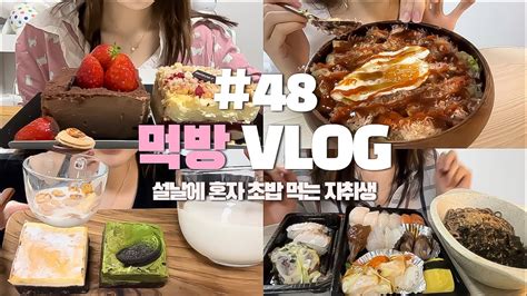 먹방 브이로그 케이크 하나로 웃음이 나네모듬초밥들기름막국수투썸스초생딸기레어치즈매콤숯불닭꼬치덮밥뚜레쥬르말차브라우니