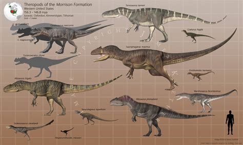 Theropods Of The Morrison Formation By Paleoguy On Deviantart