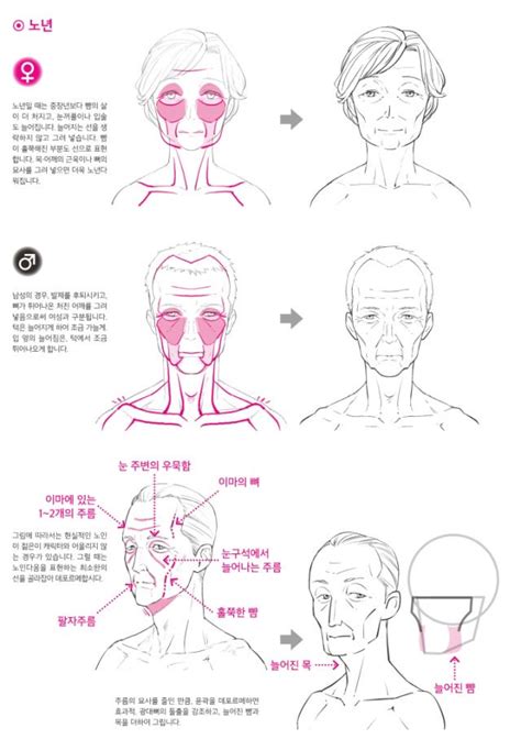인간의 얼굴 그리기