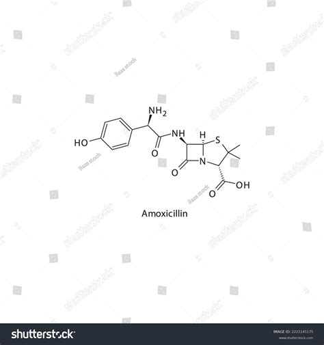 Amoxicillin Flat Skeletal Molecular Structure Penicillin Stock Vector Royalty Free 2221145175