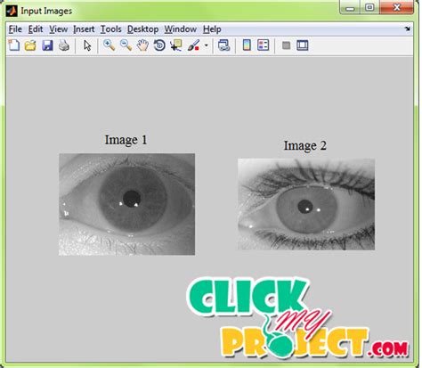 Dwt Based Feature Extraction For Iris Recognition Clickmyproject