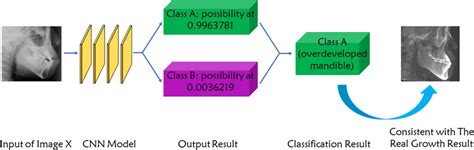 The Example Of The Classification Process By The Deep Learning Cnn