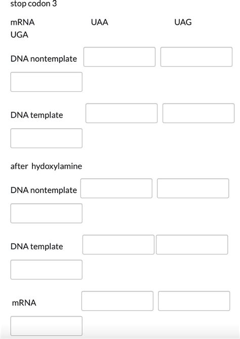 SOLVED Stop Codon MRNA UGA UAA UAG DNA Nontemplate DNA Template After Hydoxylamine DNA