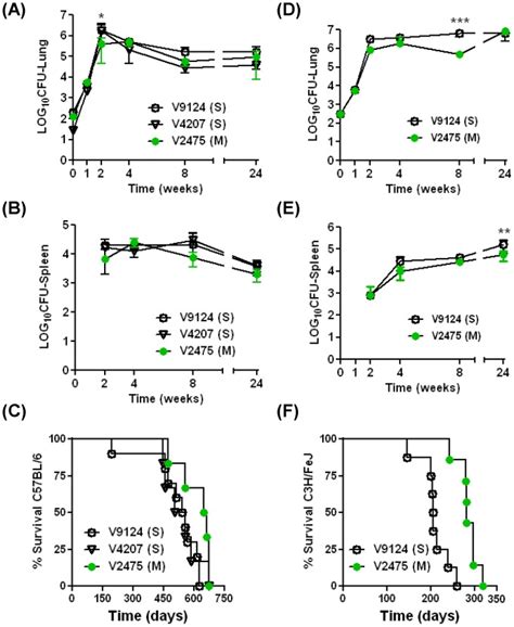 C BL Mice A B C And C H FeJ Mice D E F Were Infected With Download Scientific