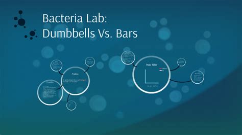 Bacteria Lab By Emma Vinh On Prezi