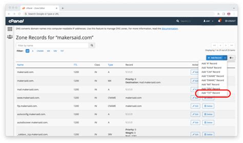 How to Add a TXT Record From cPanel (With Screenshots) - Maker's Aid