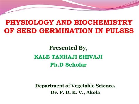 Seed Germination Pulsee Pptx