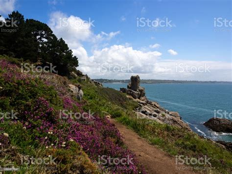 브리트니의 바다를 따라 꽃이 만개하는 길을 따라 가세요 0명에 대한 스톡 사진 및 기타 이미지 0명 경관 경외감 Istock