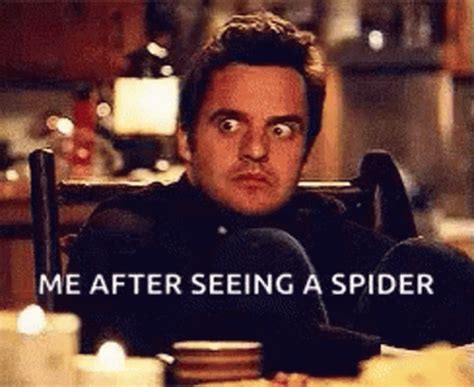 Spiders Scared  Spiders Scared Discover And Share S