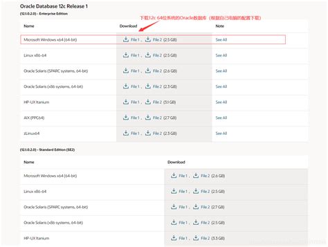 Oracle 12c数据库详细的安装步骤oracle Datebase安装 12c点击下一步初始化失败 Csdn博客