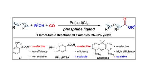 Scalable Palladium Catalyzed Alkoxycarbonylation Of Conjugated Dienes