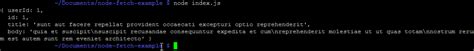 Fetching Data Over With Nodejs Using Node Fetch Information