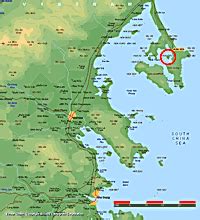 Pilgrim Paws Whale Island Vietnam