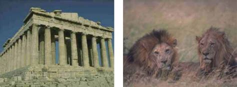 1 1 Τα μόρια της ζωής