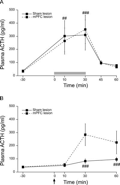 Effect Of Mpfc Lesions On Hpa Axis Responses To A Psychological