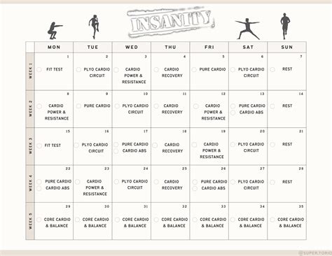 Insanity Workout Artwork