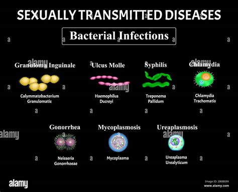 Gonorrhea Bacteria Diagram