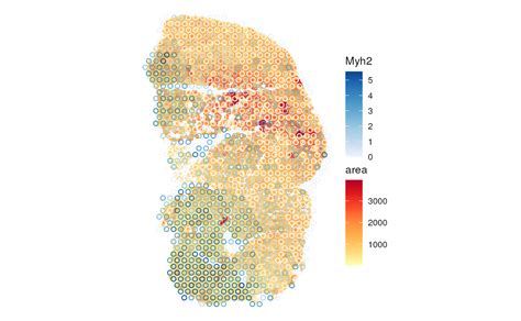 Exploratory Spatial Data Analysis With Voyager • Voyagerhackathon