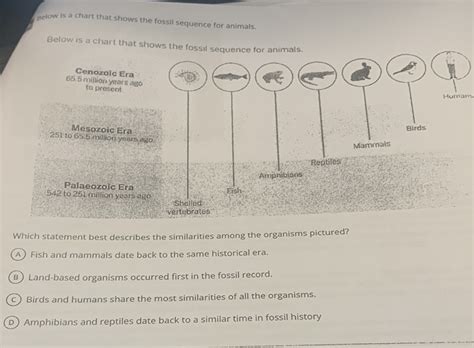 Pelow Is A Chart That Shows The Fossil Sequence For Animals Below Is A